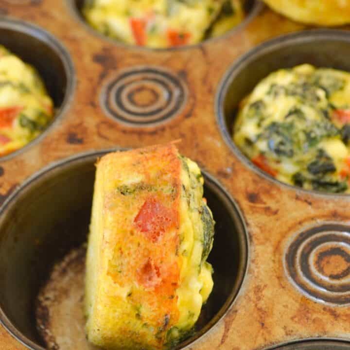 High Protein Mini Egg Bites Recipe - feasty travels