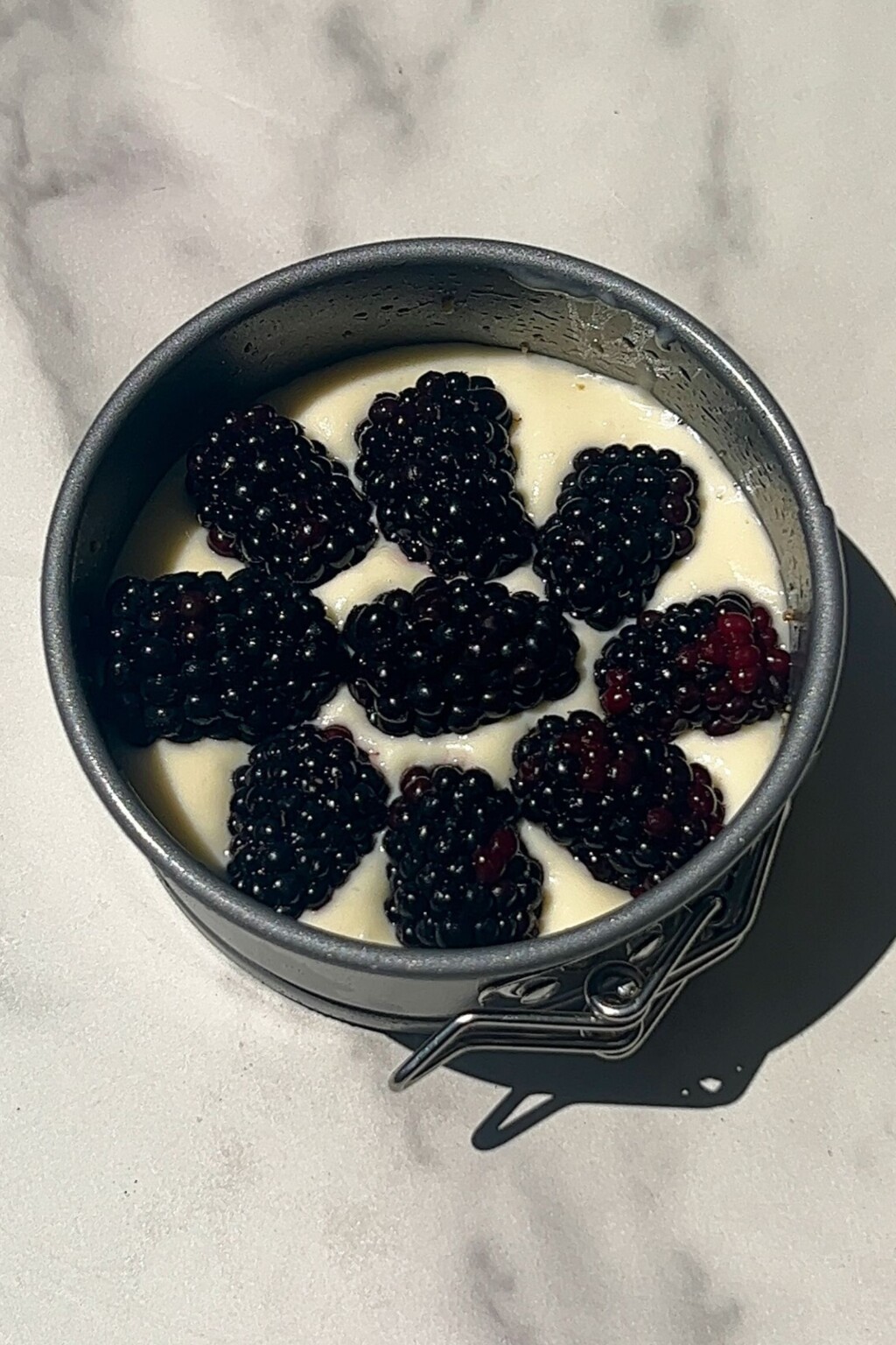 Lemon and Blackberry Cheesecake Recipe - Feasty Travels