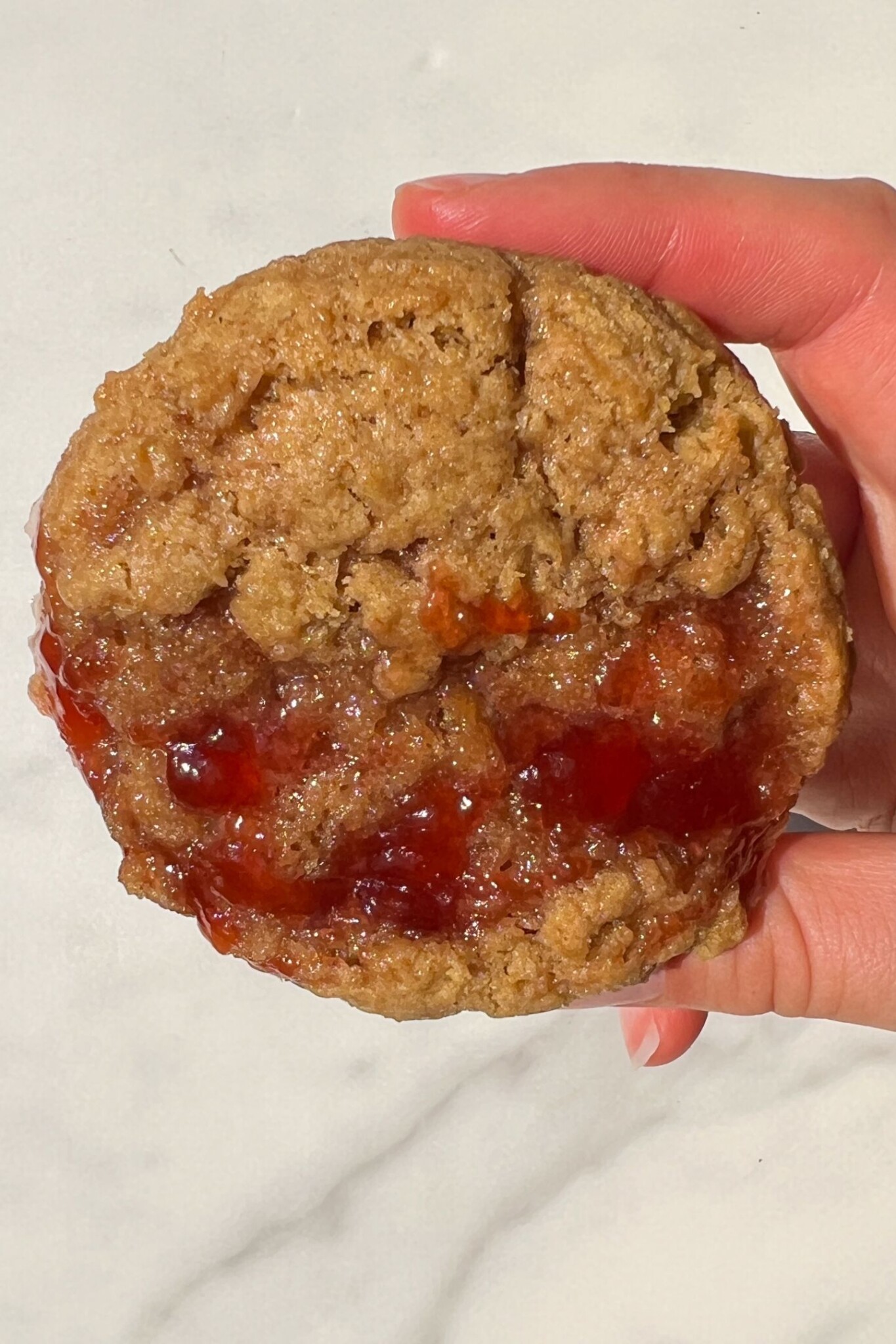 Peanut Butter and Jam Cookies - Feasty Travels