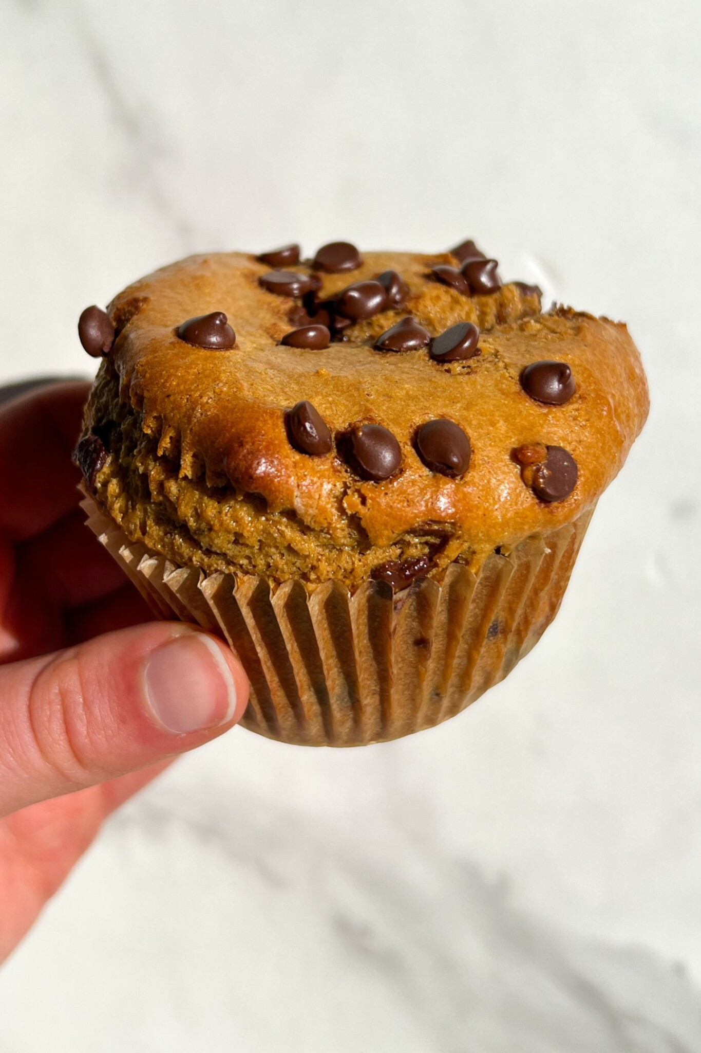 Protein Muffin Recipe (Single Serve) - Feasty Travels