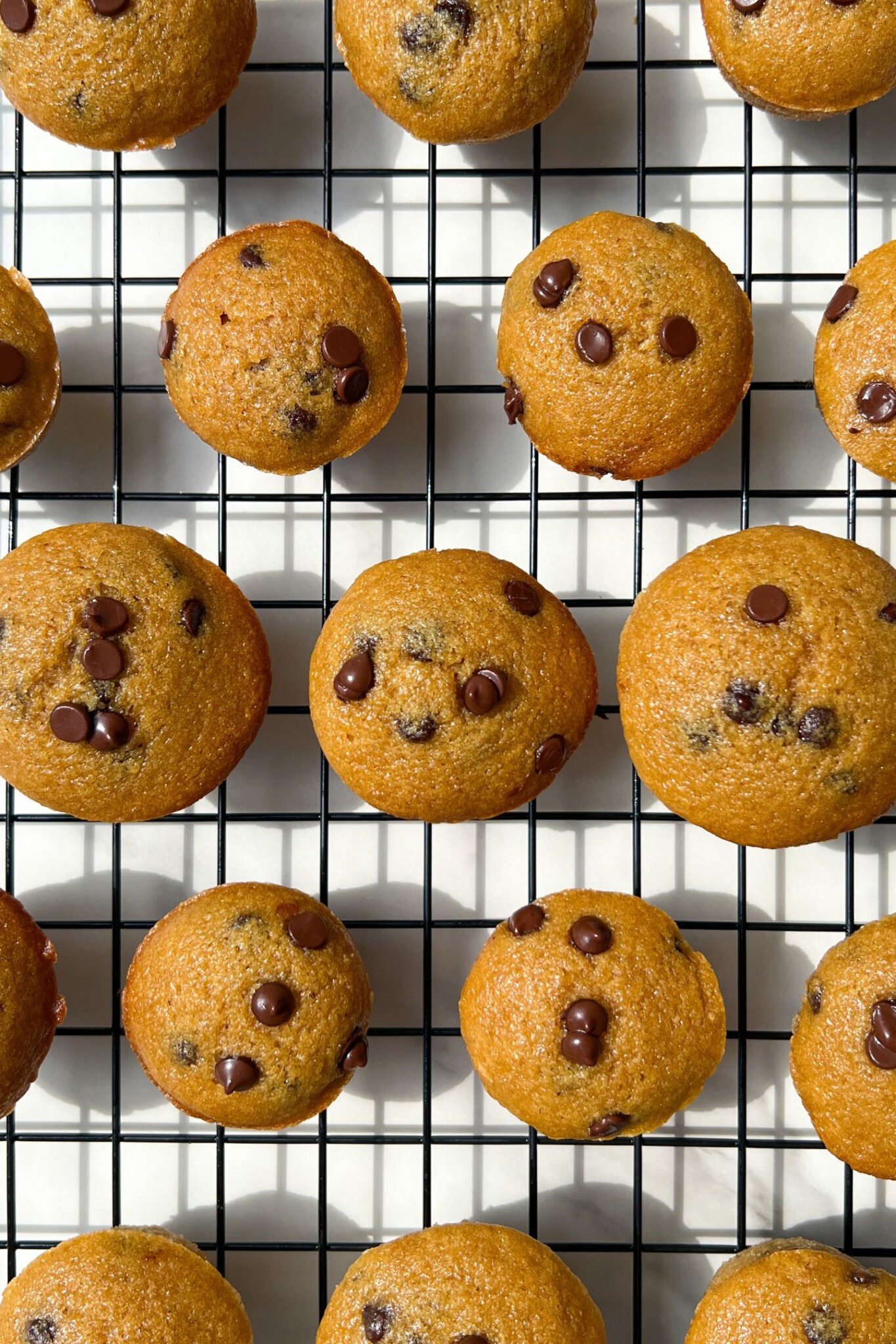 Choc Chip Mini Muffins Recipe - Feasty Travels