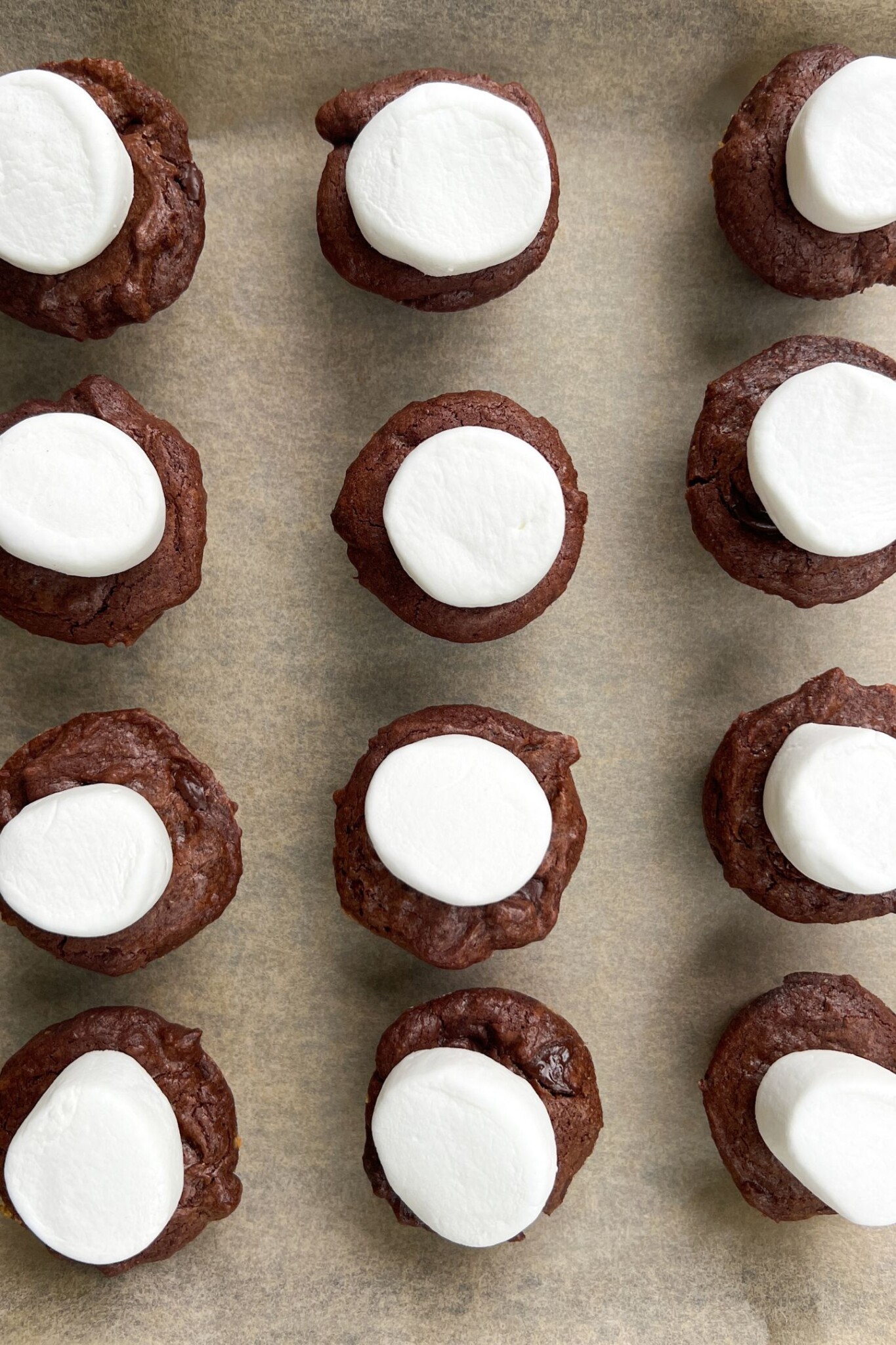 S'mores Brownie Bites Recipe - Feasty Travels
