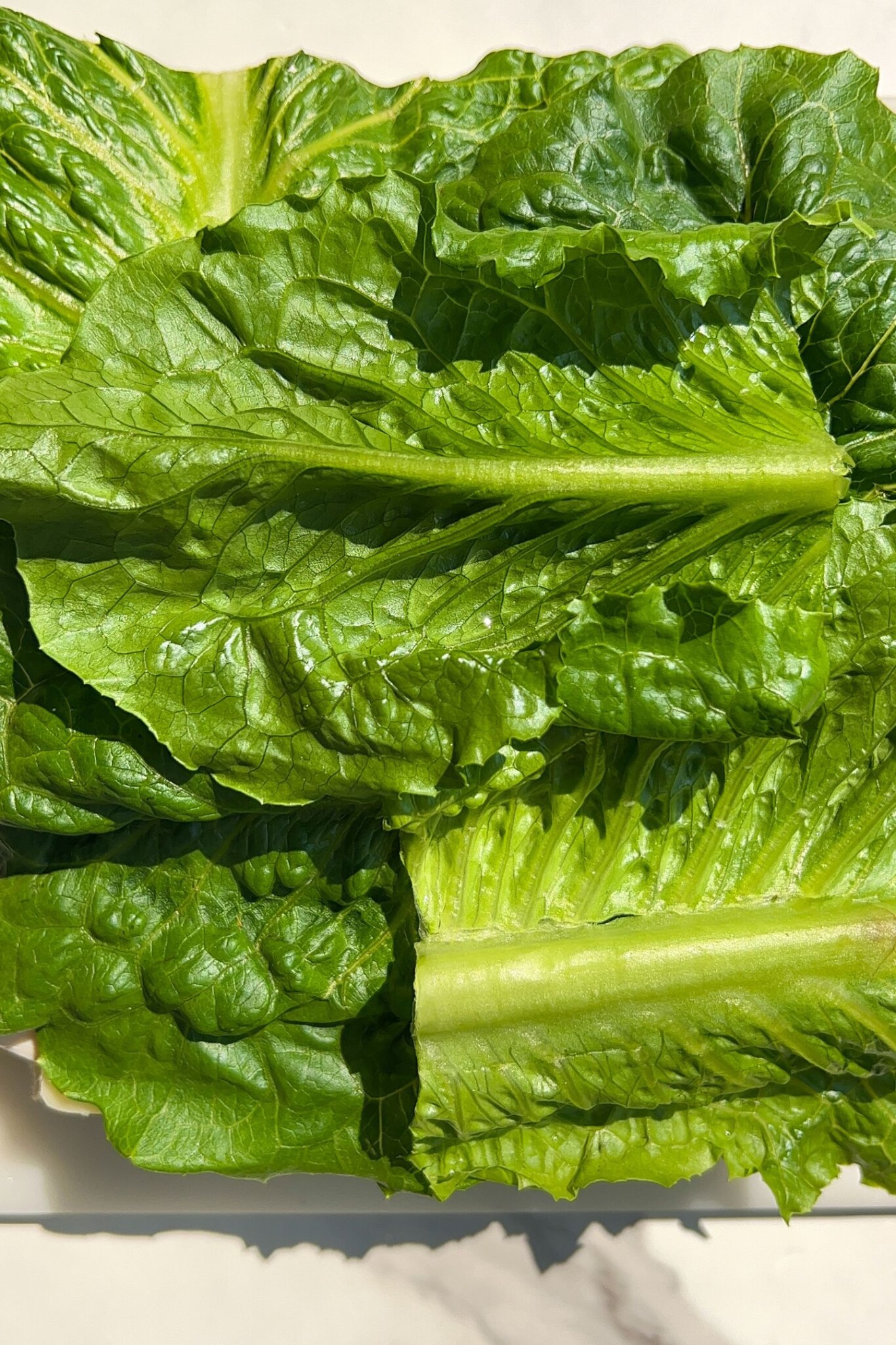 Turkey Sliders Recipe - Feasty Travels