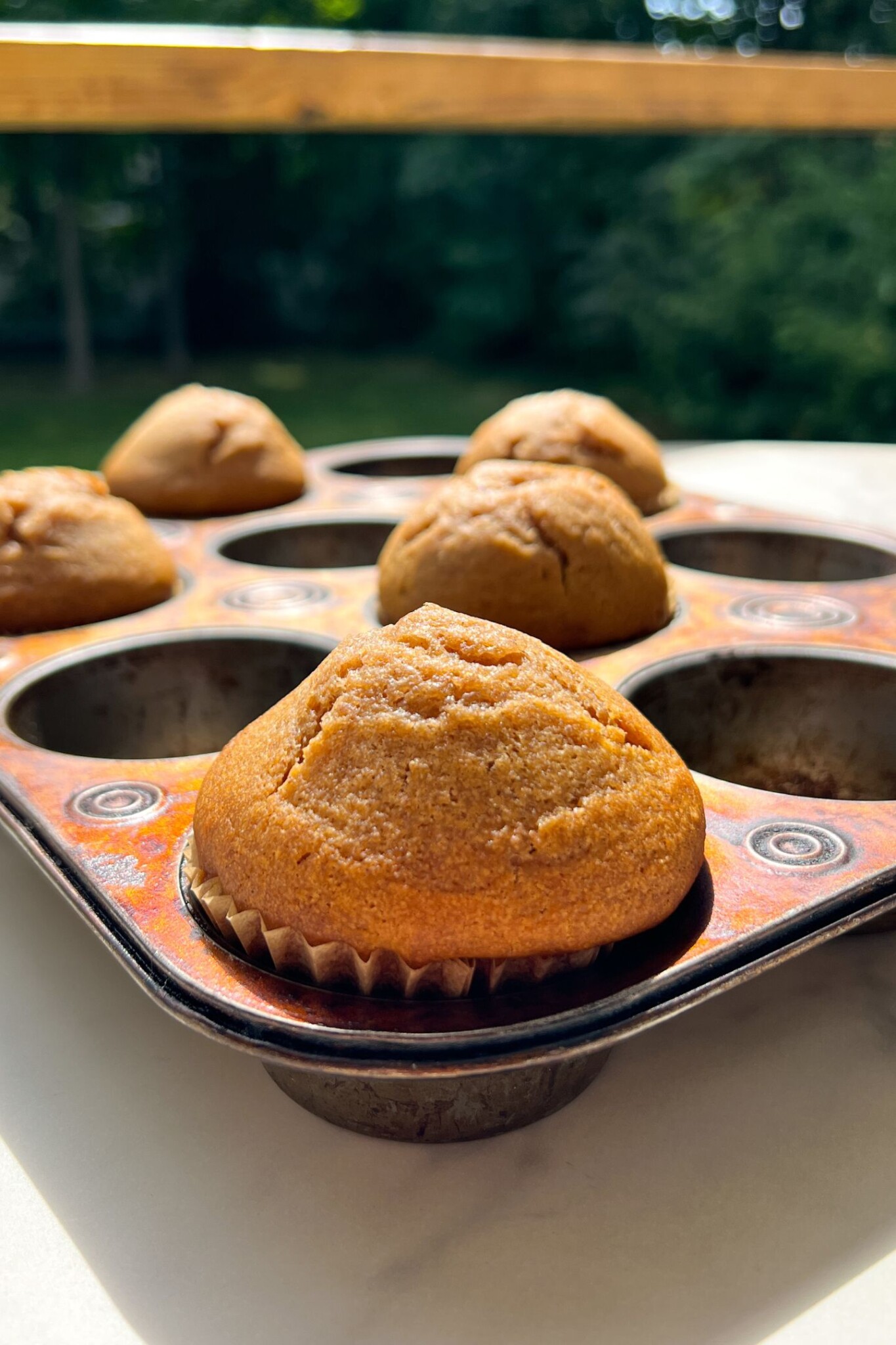 The BEST Apple Cider Muffins Recipe - Feasty Travels