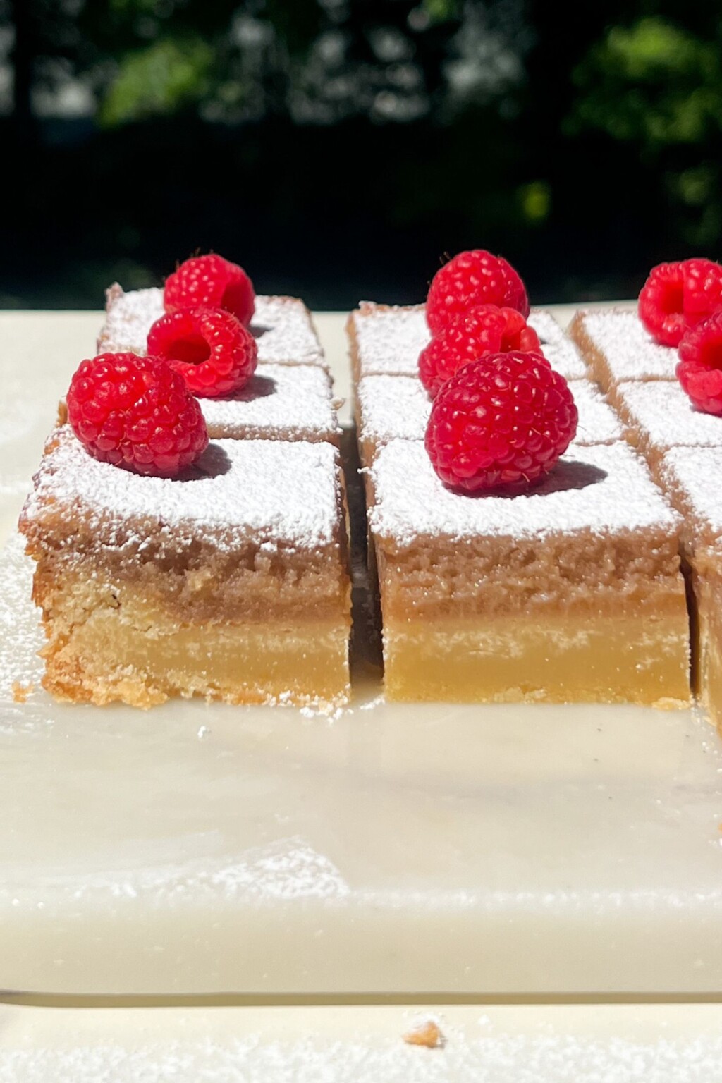 Raspberry Lemon Bars Recipe - Feasty Travels